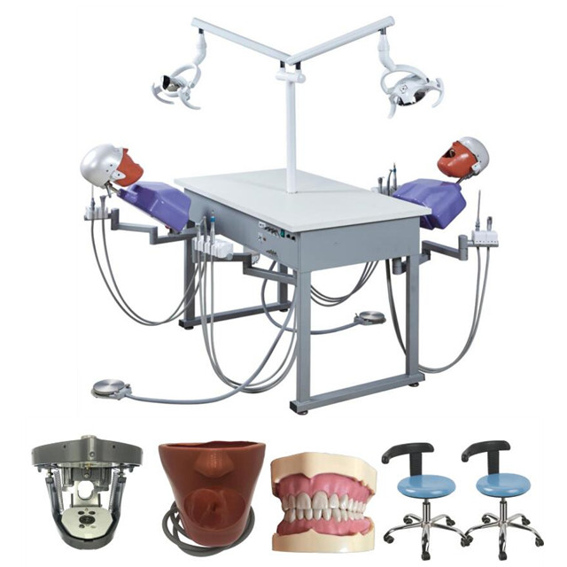 DENTAL MANUAL SIMULATION FOR 2 STUDENTS - Buy MANUAL SIMULATION FOR 2 ...