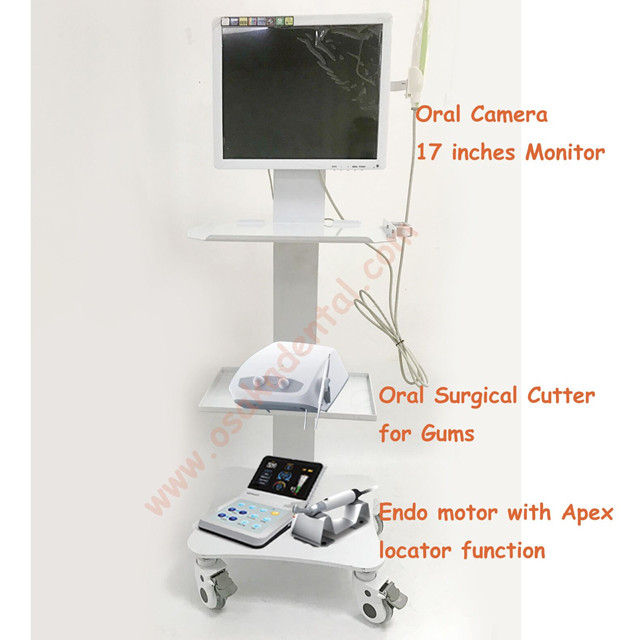 Mobile Cabinet with Surgical Cutter And Endo Motor with Apex Locator ...